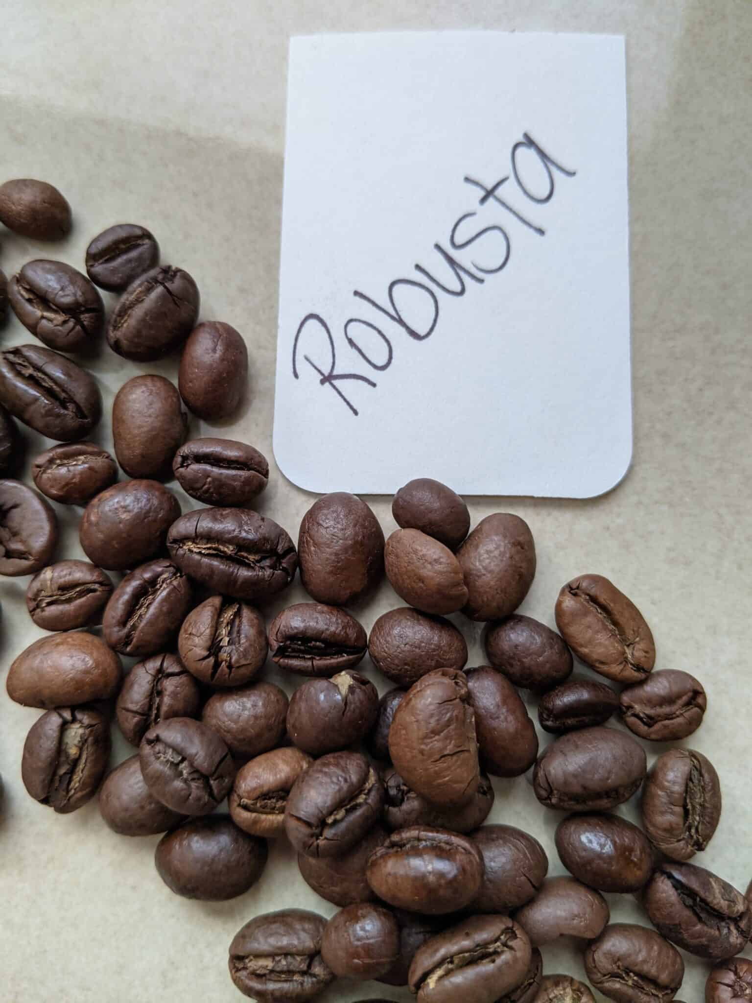 Different Kinds of Coffee Beans: What are you missing out on? - Carmel ...